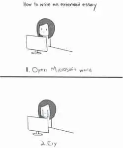 Step-by-step: The IB Extended Essay Process | Lanterna Education